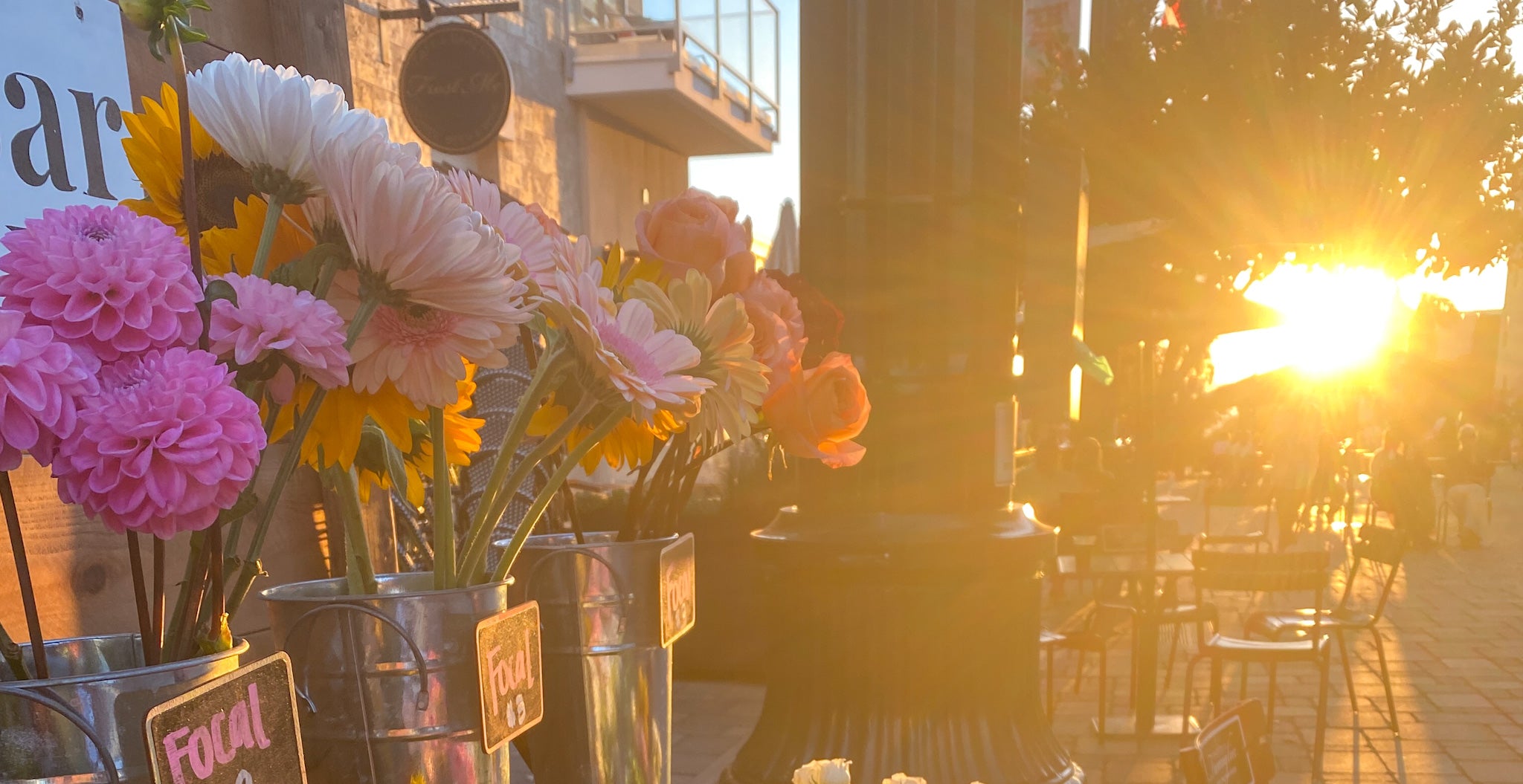 Careers – Cork & Stem