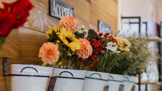 About Us – Cork & Stem